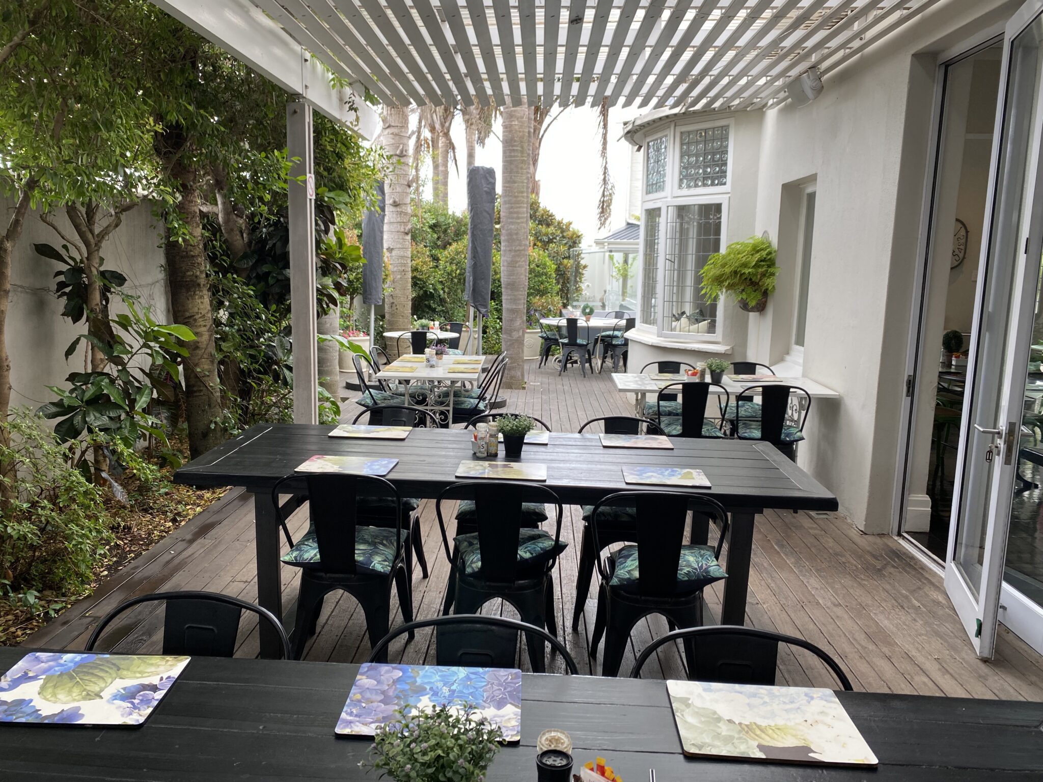 Home - The Lemon Tree